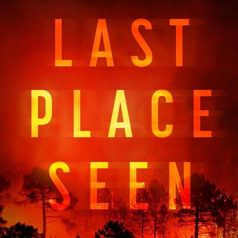 'Last Place Seen' brings justice-minded mystery fiction